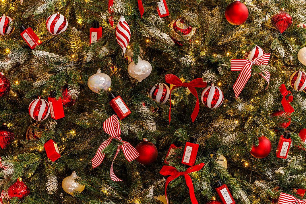 Best Christmas Trees 2023: Unveiling a Scent-Inspired Tree at Shangri ...